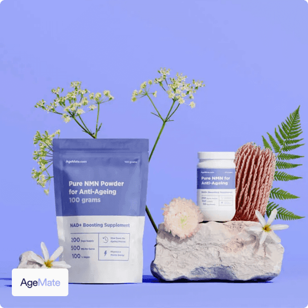 AgeMate - Case studies | Borderless360